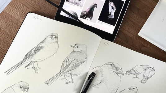 Pencil Sketching for Beginner Artists – Louise Stigell