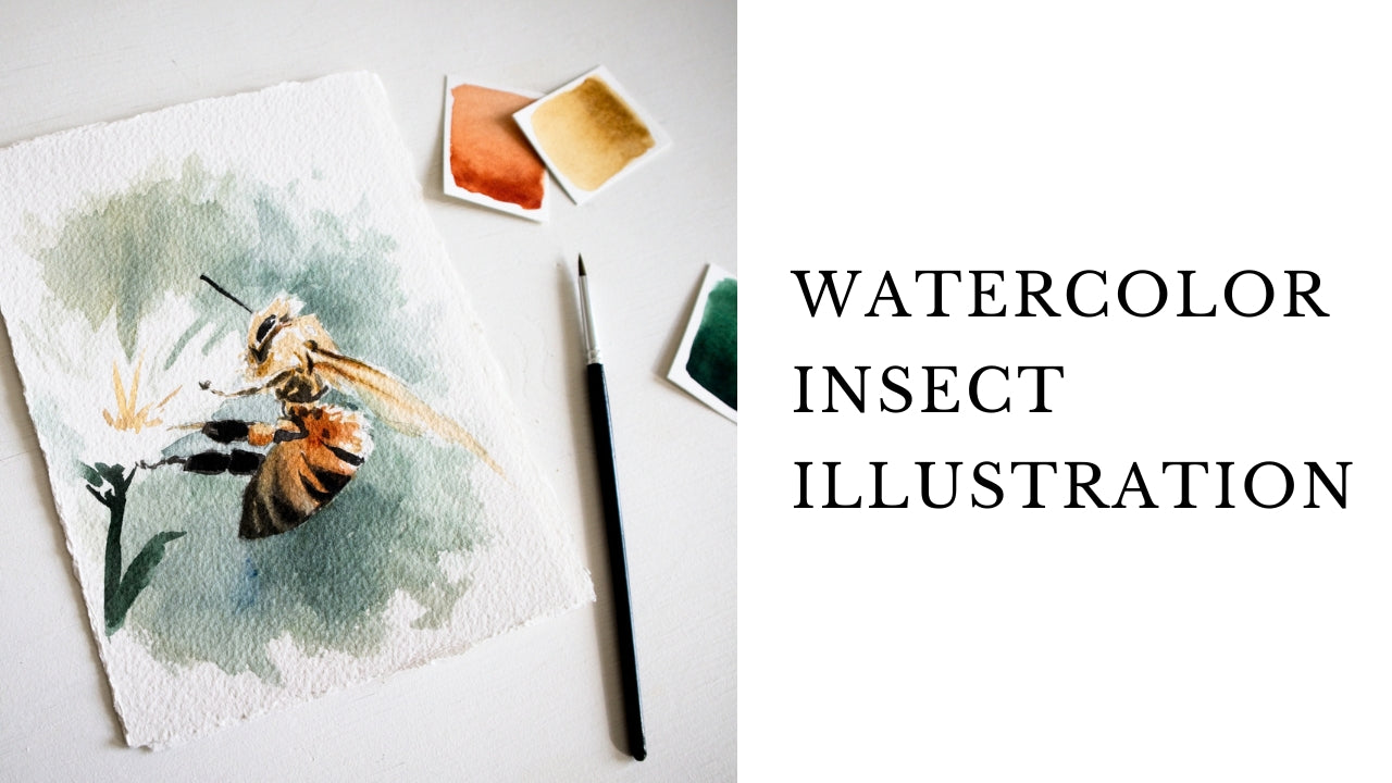 Watercolor Insect Illustration – Louise Stigell