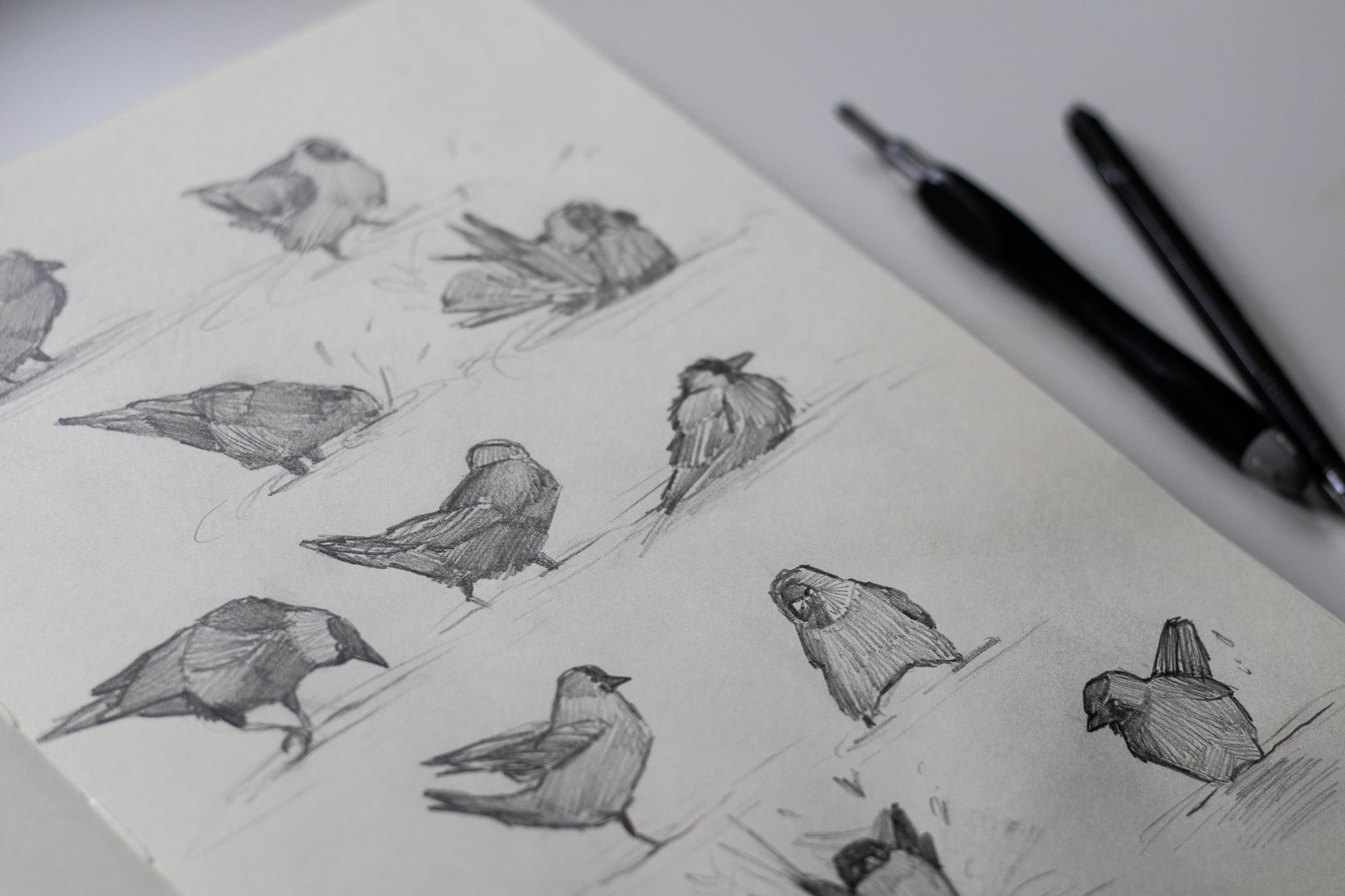 Pencil Sketching for Beginner Artists – Louise Stigell