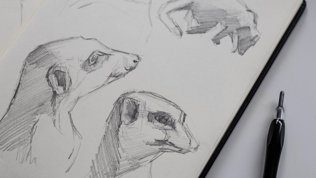 Pencil Sketching for Beginner Artists – Louise Stigell